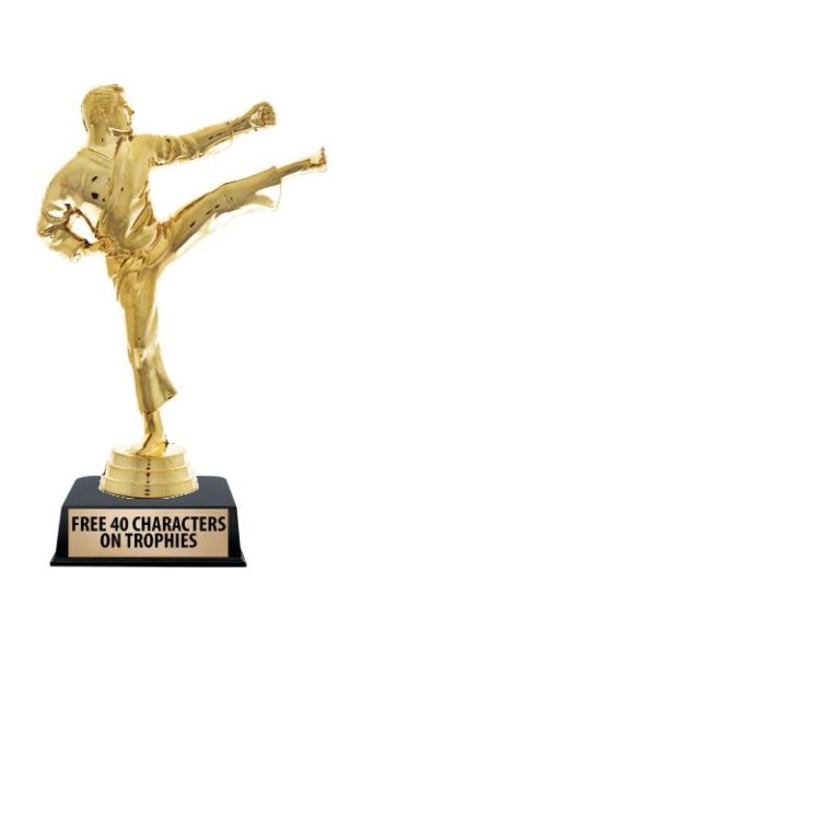 Karate Figure Trophy – The Karate Shop